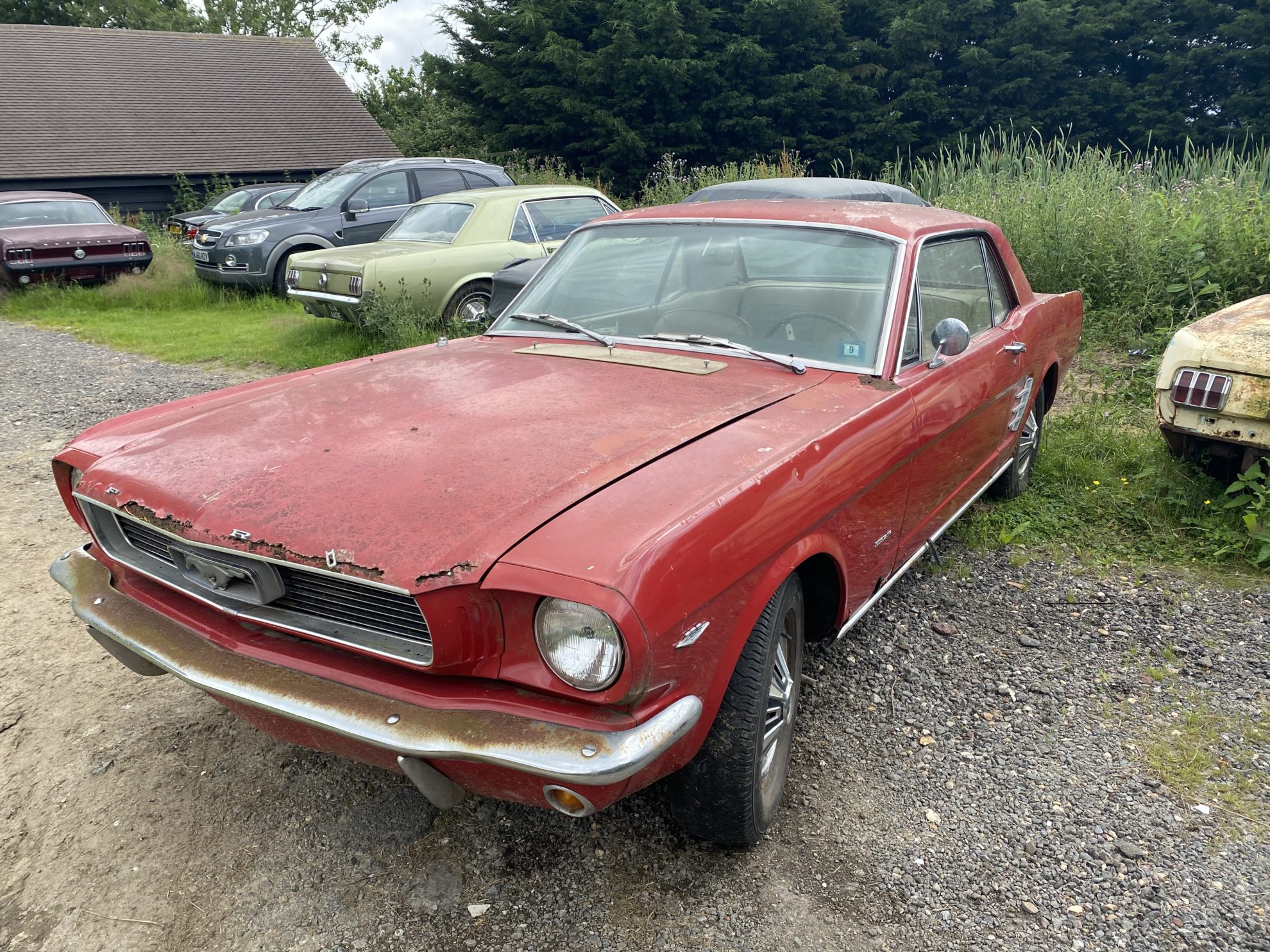 Classic Ford Mustang Project Cars for Sale - Oakwood Classics