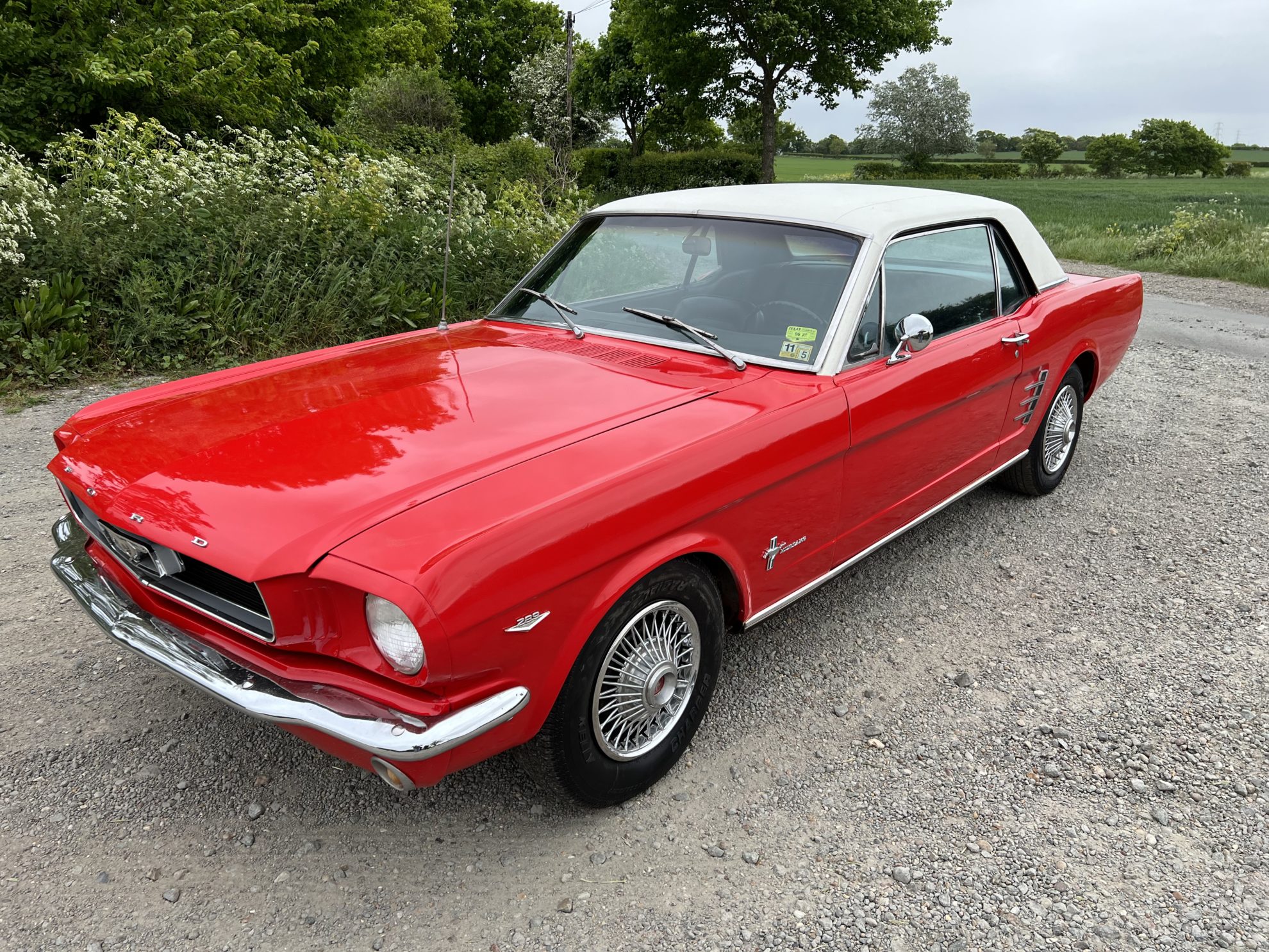 Classic Ford Mustangs for Sale - Oakwood Classics