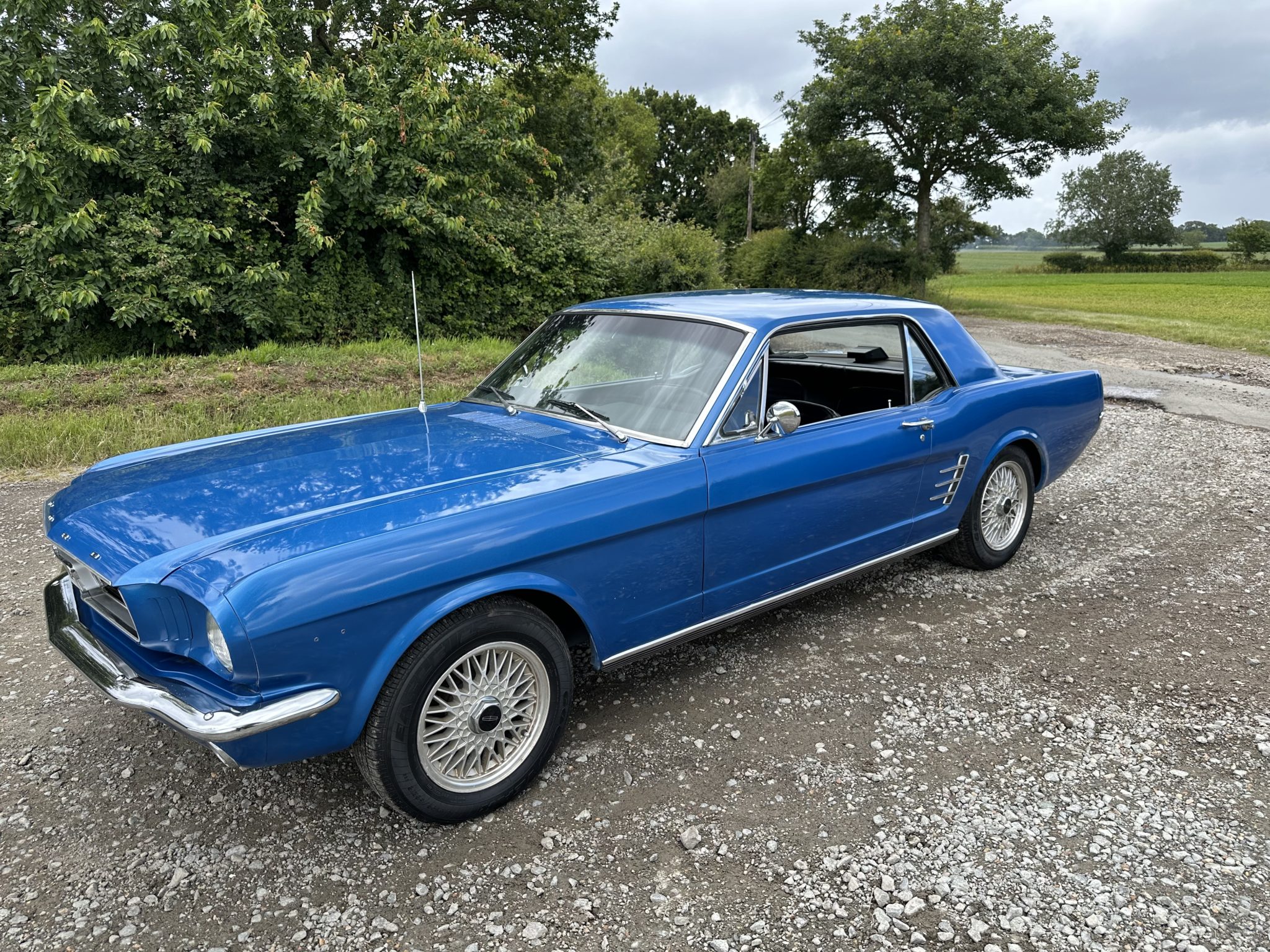 Classic Ford Mustangs for Sale - Oakwood Classics
